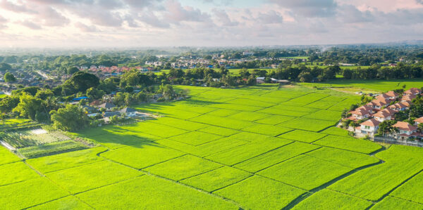 What Is Land Banking? Strategy Behind the Land