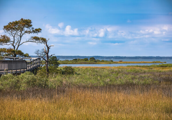 Land Banking - East Avenue Investments